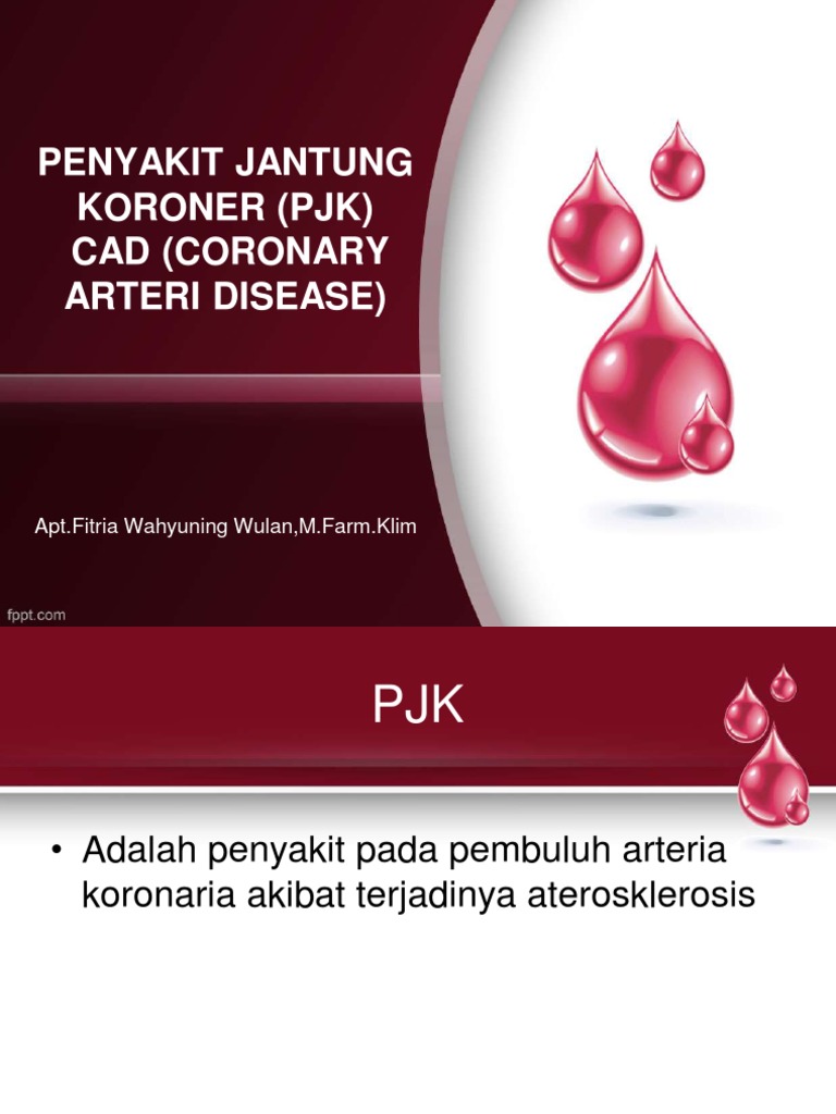 Penyakit Jantung Koroner (PJK) Cad (Coronary Arteri Disease) | PDF