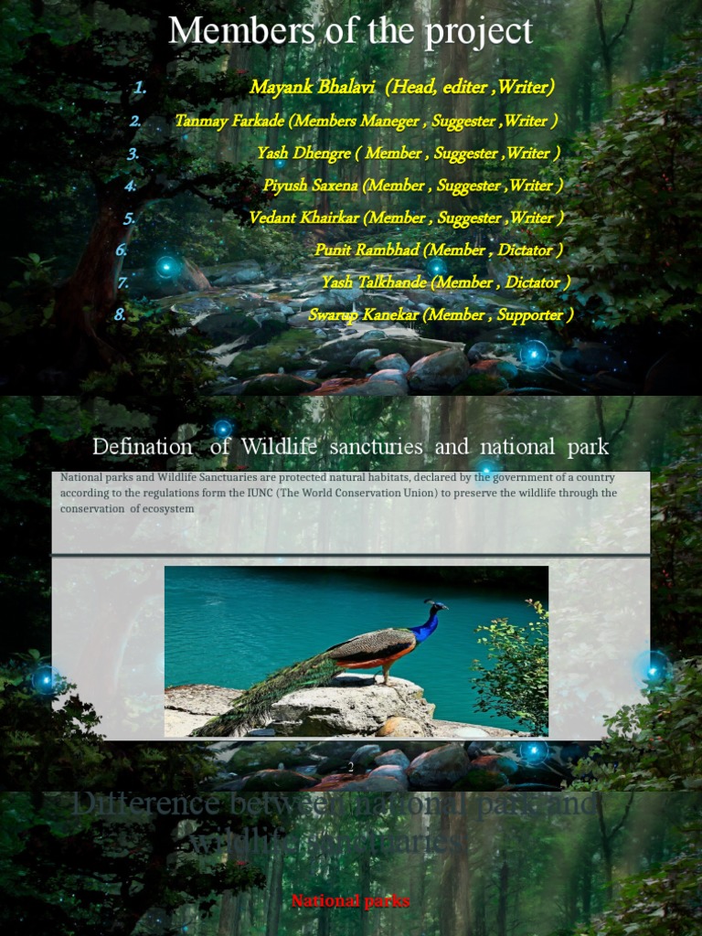 Geography Project - Wildlife Sancturies and National Parks | PDF ...