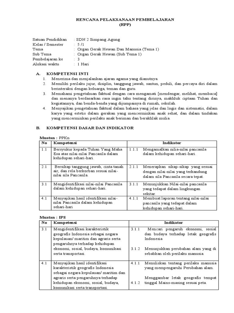 Contoh RPP PORTOFOLIO SD | PDF
