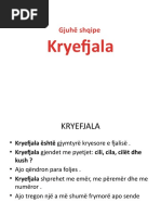 Ligjerata e Drejtë Dhe e Zhdrejtë KL V | PDF