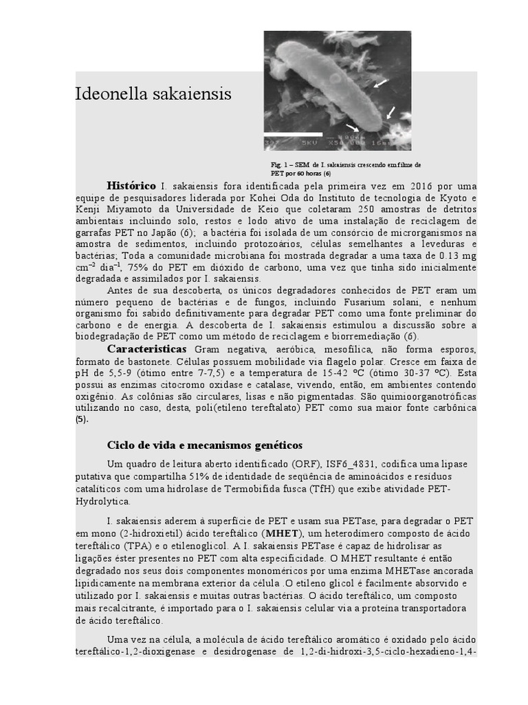 Ideonella Sakaiensis | PDF | Bactérias | Célula (Biologia)