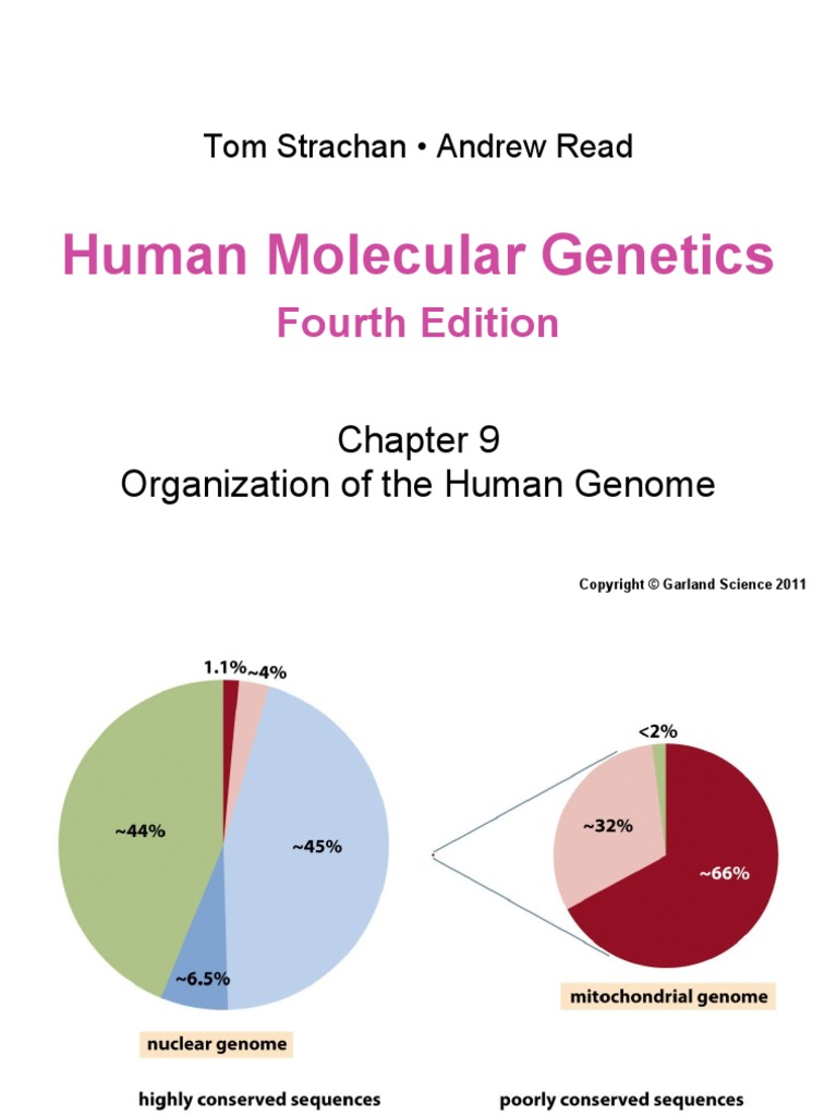 Human Molecular Genetics: Fourth Edition | PDF | Gene | Ribosomal Rna
