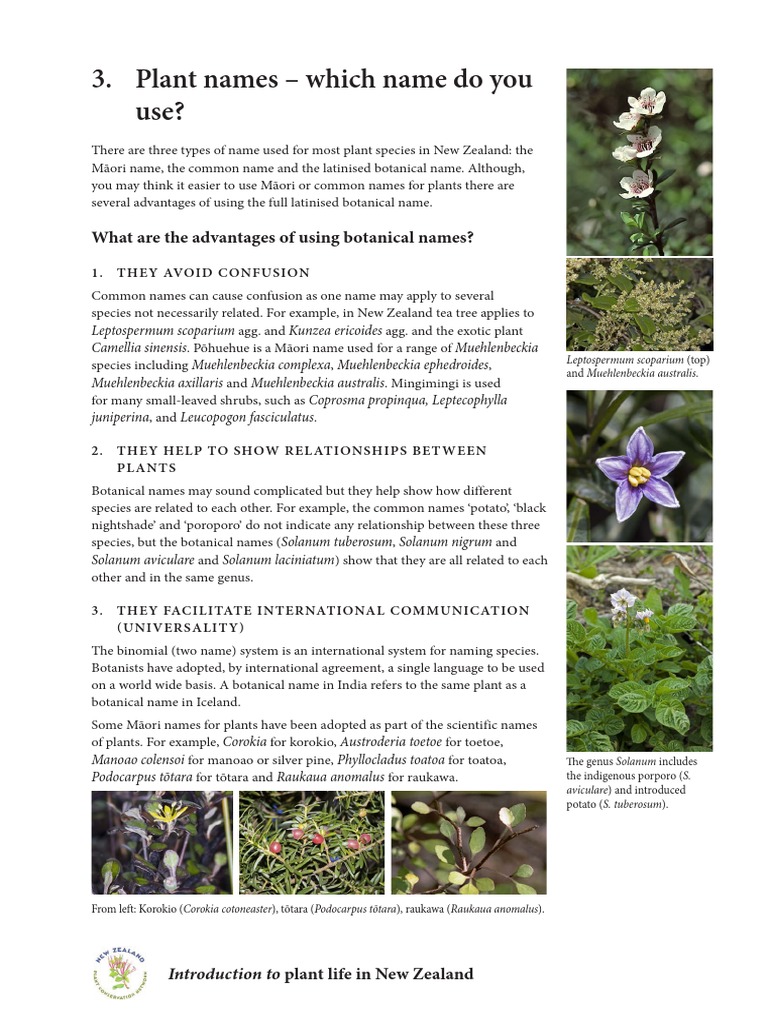 03-Plant Names | PDF | Plants | Botany