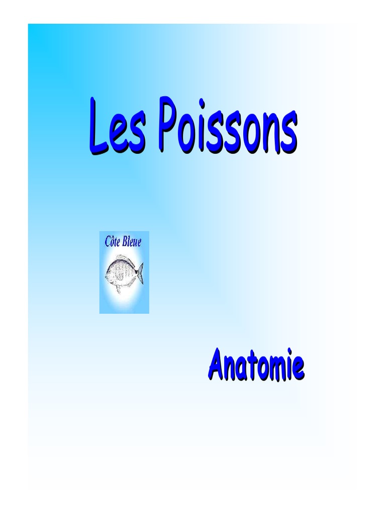 Anatomie et classification des poissons | PDF | Poisson | Zoologie