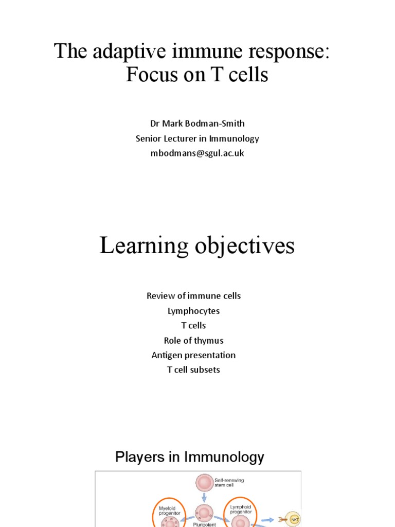 Fundamentals of Pathology The Adaptive Immune Response T Cells | PDF ...