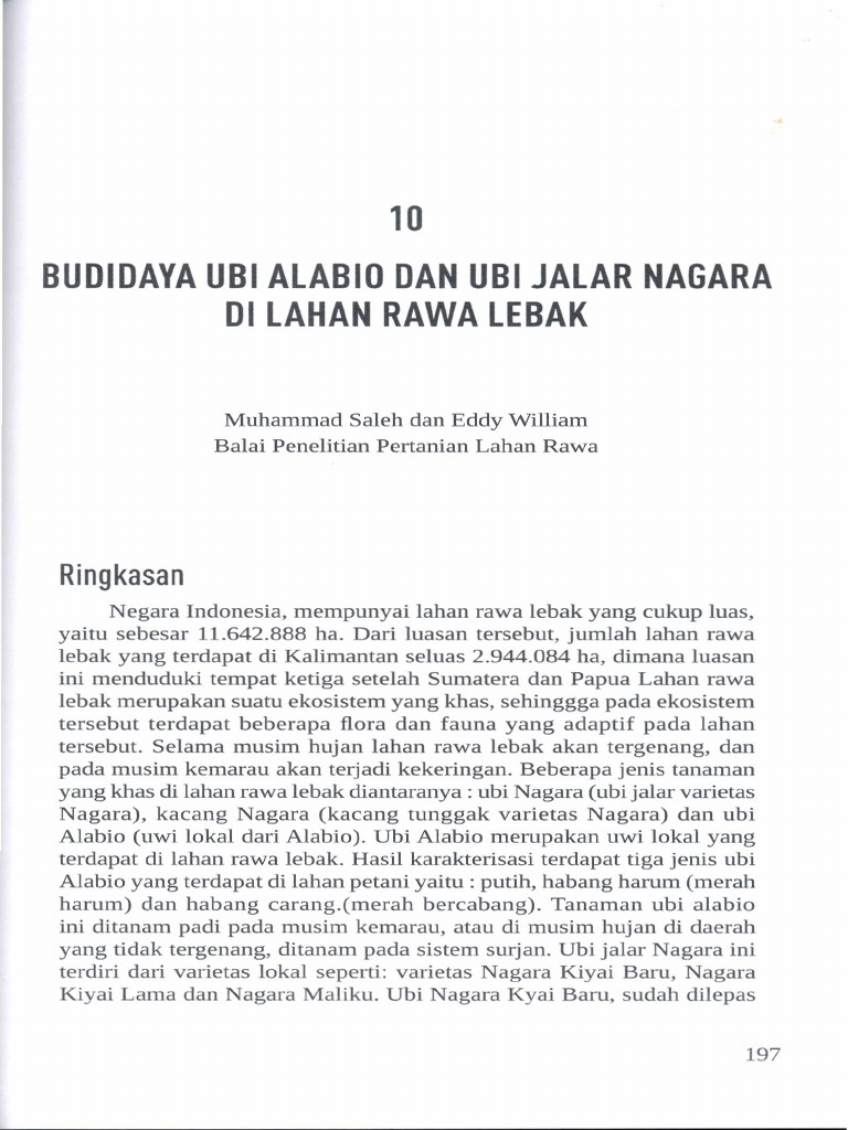 Budidaya Ubi Alabio Dan Ubi Jalar Nagara Di Lahan Rawa Lebak | PDF