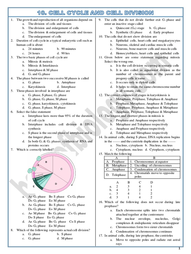 10 Cell Cycle N Cell Division-Entrance Questions With Answers | PDF ...