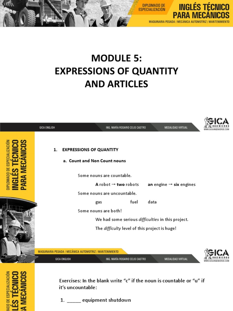 Module 5 Grammar - Expressions of Quantity and Articles | PDF | Noun ...