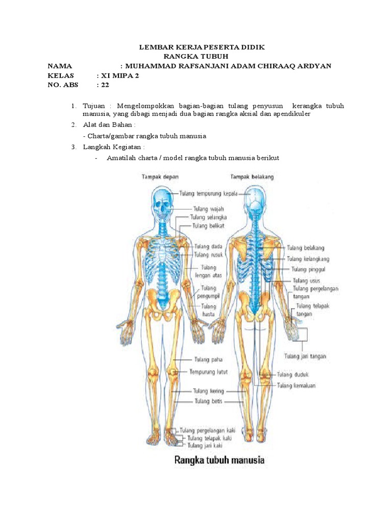 19-A2 (22) Muhammad Rafsanjani Adam Chiraaq Ardyan - LKPD Sistem Gerak ...