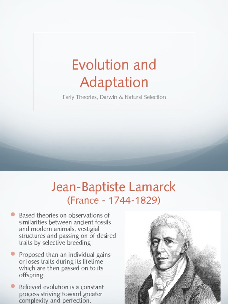 Theories of Evolution | PDF | Evolution | Charles Darwin