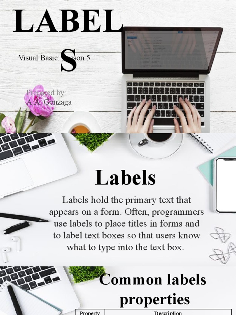 Visual Basics Lesson 5: Labels | PDF | Window (Computing) | Graphical ...