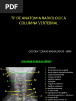 Procedimiento de Esofagograma con Bario | PDF | Estómago | Enfermedades ...