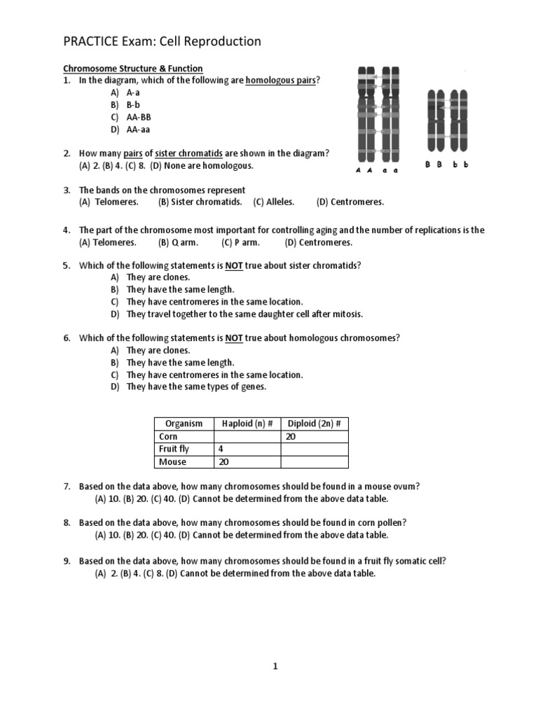 Cell Reproduction Practice Exam | PDF | Meiosis | Mitosis