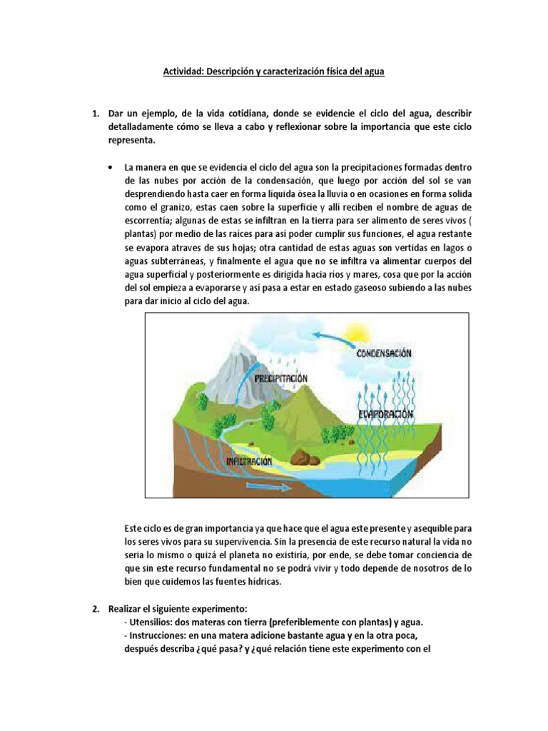 Actividad Descripcion y Caracterizacion Fisica Del Agua | PDF | Agua | El ciclo del agua