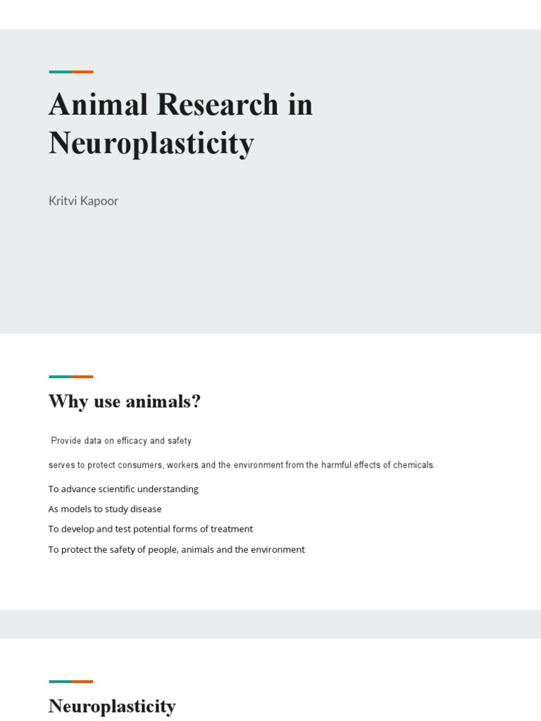 Neuroplasticity Research in Animals | PDF