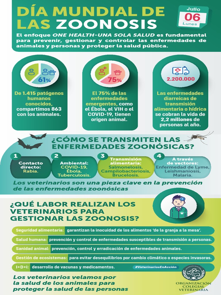 Infografia ZOONOSIS | PDF
