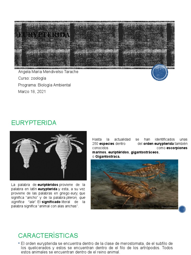 Eurypterida | PDF