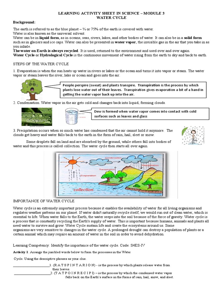 Collection: Activity 1: Arrange The Jumbled Words Below To Form The ...