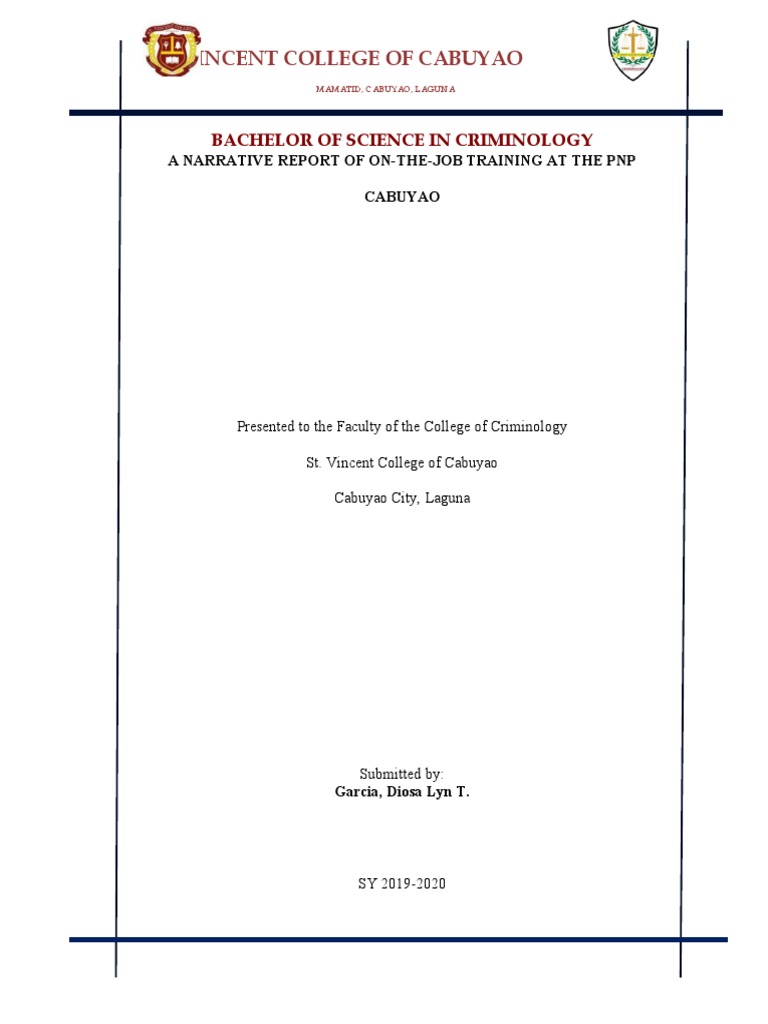 Narrative Report | PDF | Crime & Violence | Crimes