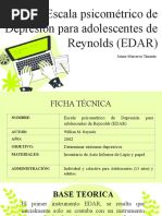 Test Depresion IDERE FICHA TECNICA | PDF | Depresión (estado de ánimo ...