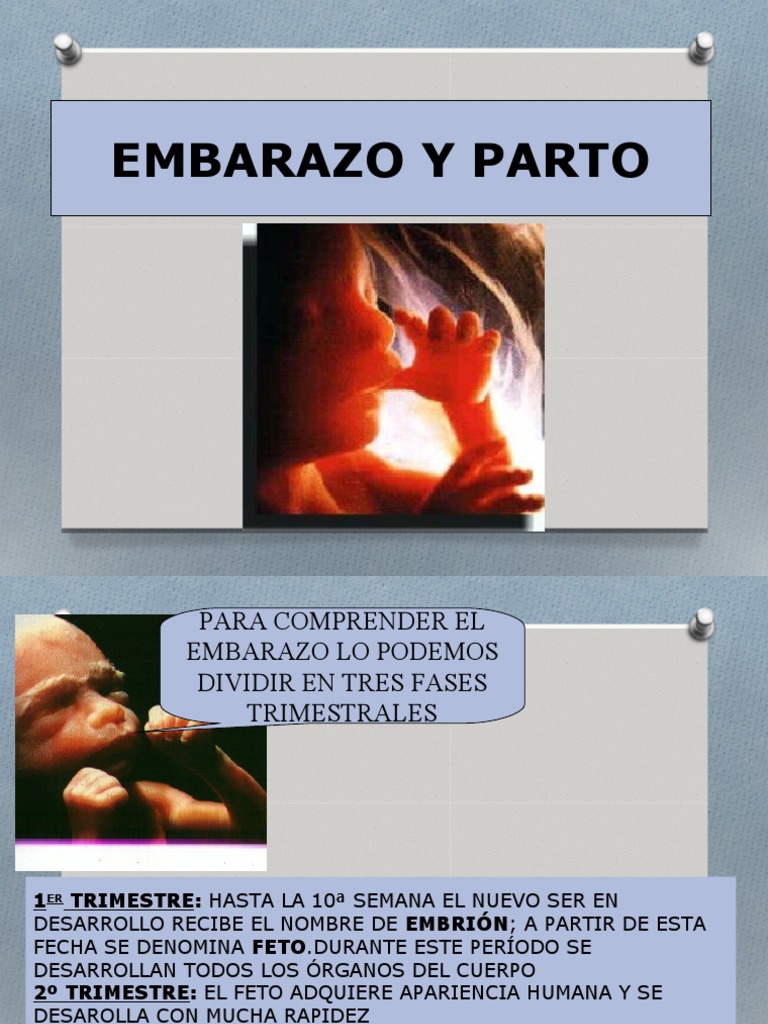 Embarazo y Parto | PDF | Parto | El embarazo