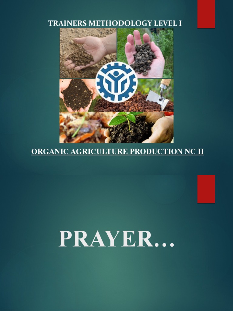 Trainers Methodology Level I: Qualification | PDF | Educational ...