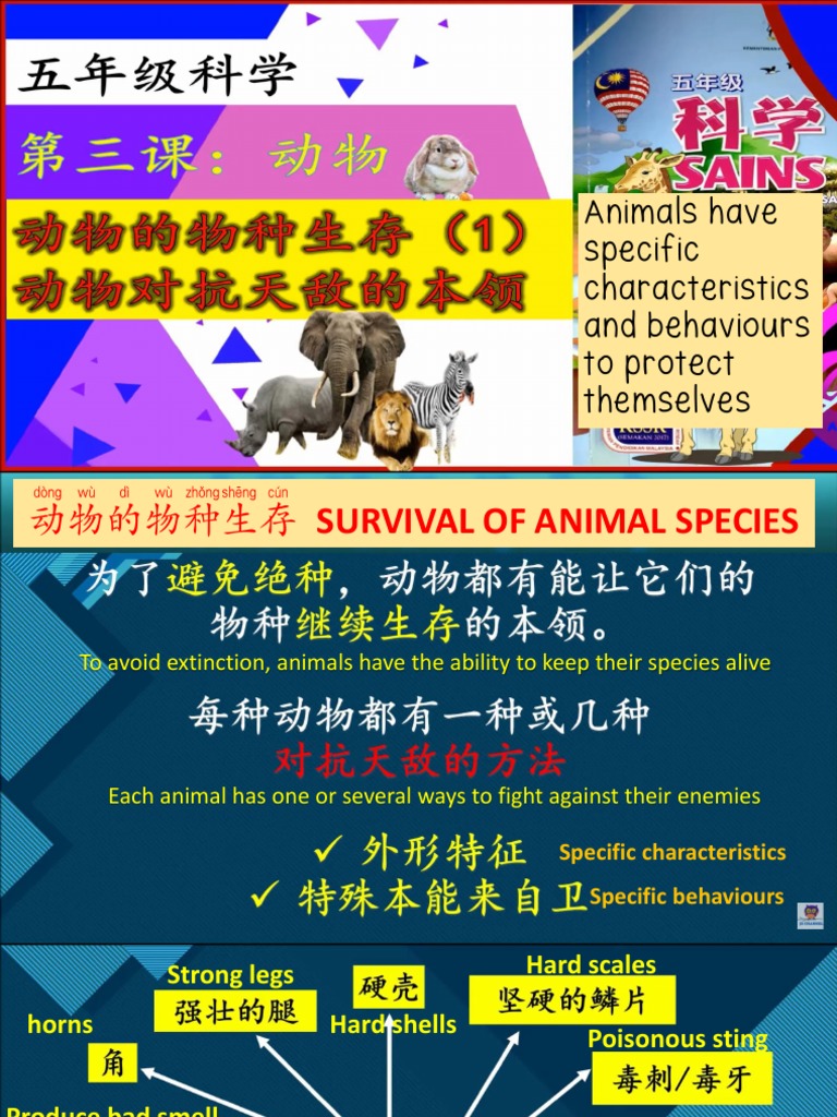 Survival Strategies: How Animals Adapt Specific Characteristics and ...