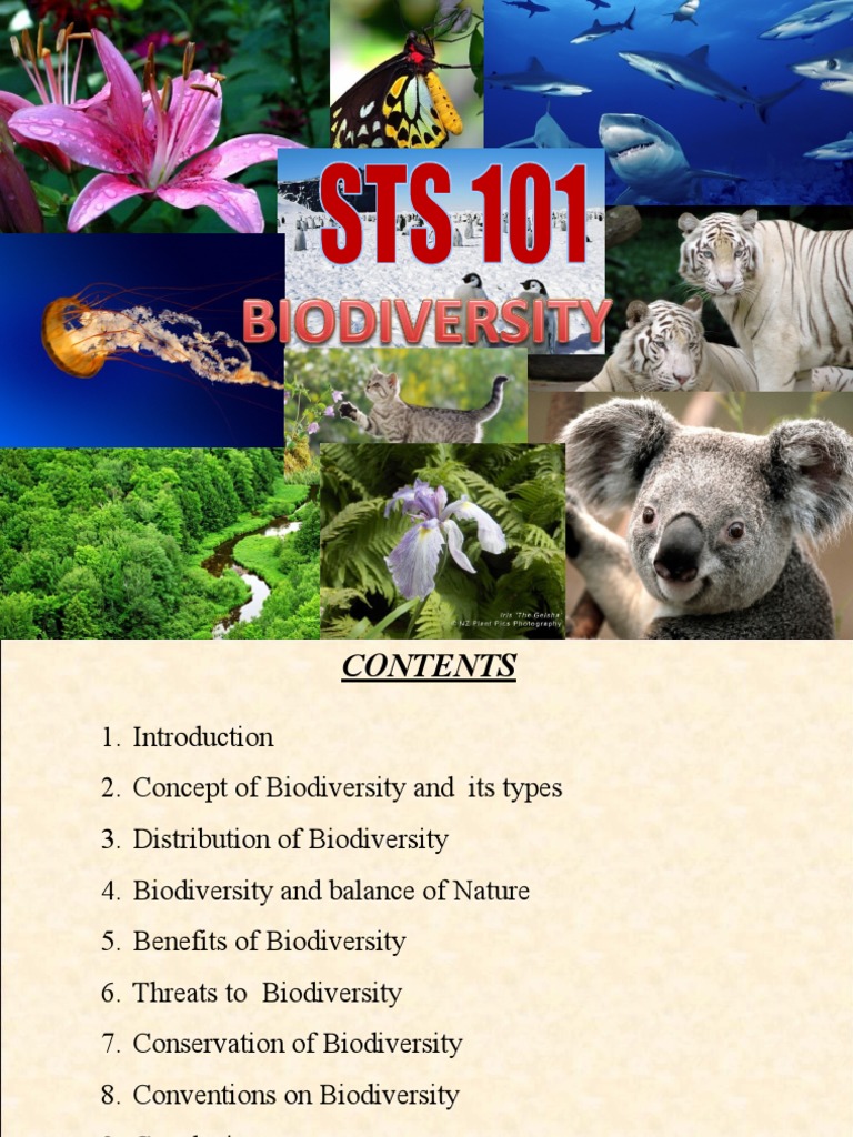 Biodiversity | PDF | Biodiversity | Conservation Biology