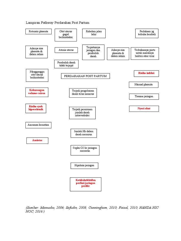 Pathway Perdarahan Post Partum | PDF