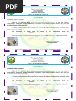 Solo Parent Certification Example | PDF | Lifestyle