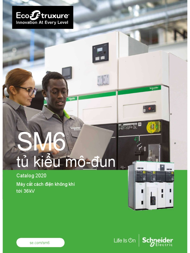 Catalogue SM6 VNese Version 2020 | PDF