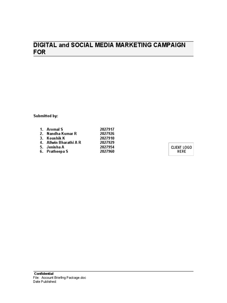 DM Plan - Template | PDF | Sales | Marketing