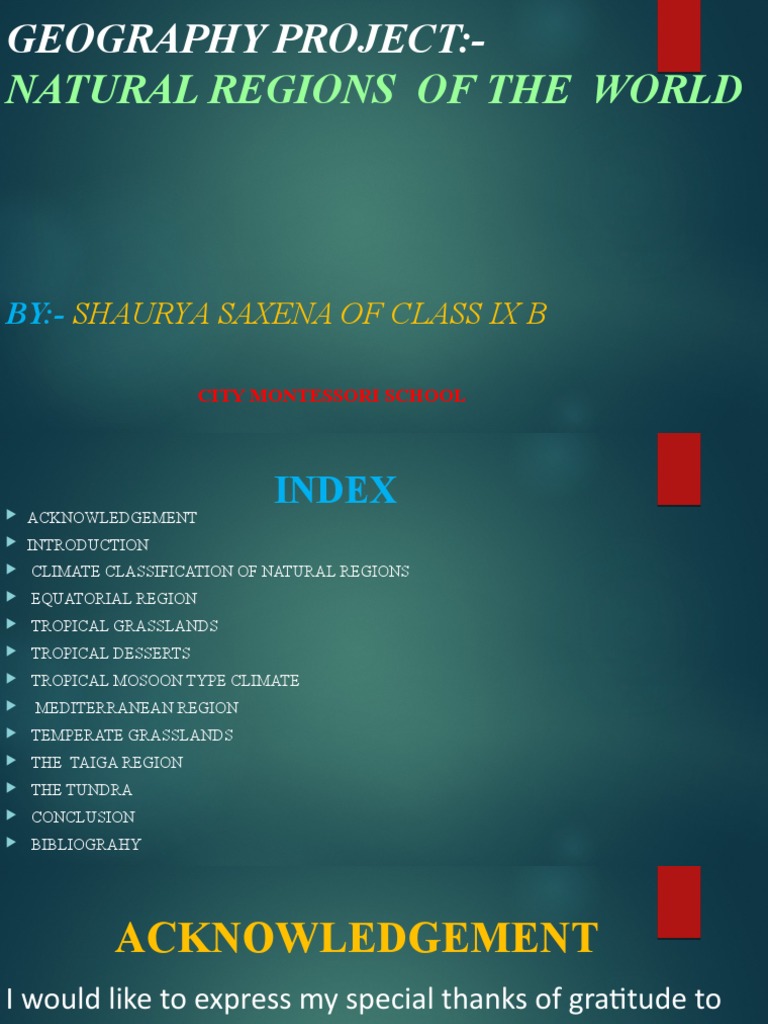GEOGRAPHY PROJECT - SHAURYA - Copy (Autosaved) | PDF | Desert | Grassland