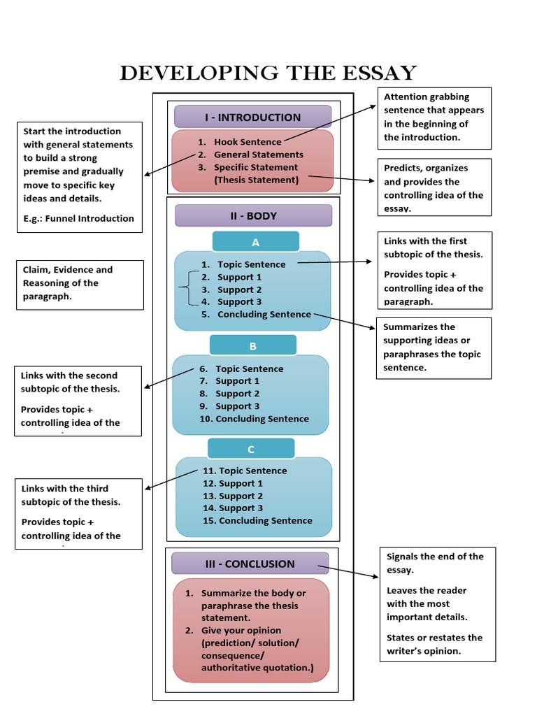 Essay Development Visual | PDF | Essays | Cognition