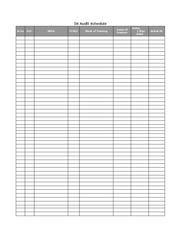 A 5S Audit Schedule Tracking Progress and Ensuring Continuous ...