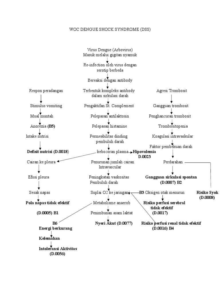 Woc Pujianah Dss | PDF