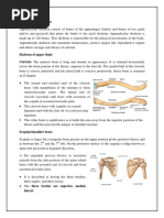 Goniometry Landmarks | PDF | Anatomical Terms Of Motion | Anatomical ...