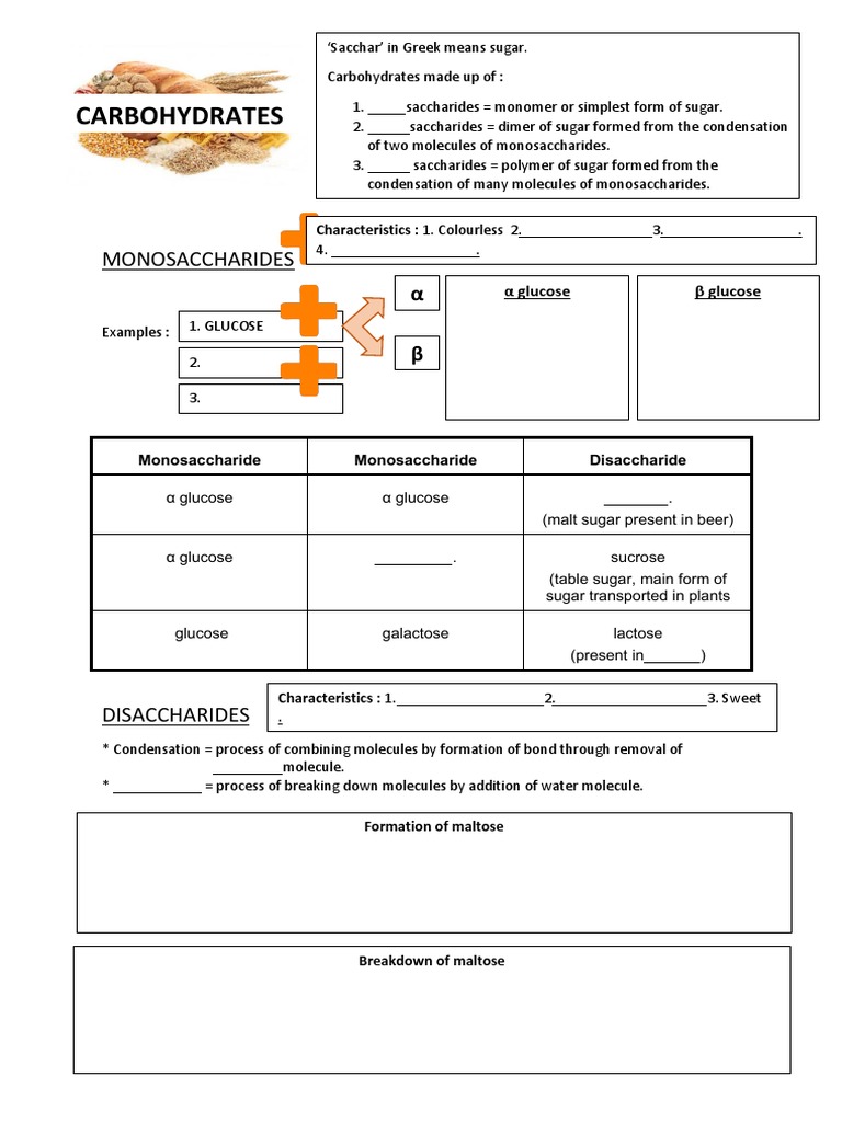 1.2 Module | PDF | Carbohydrates | Polysaccharide