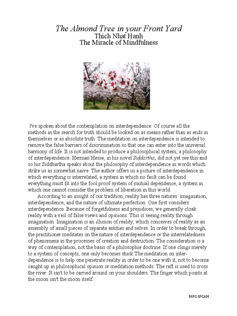 The Miracle of Mindfulness-The Almond Tree in Your Front Yard | PDF ...