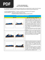 Rotación de Tronco | PDF | La columna vertebral | Sistema ...