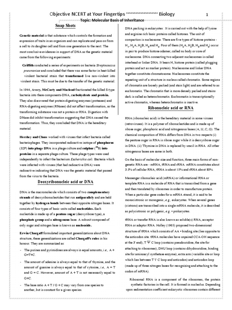Molecular Basis of Inheritance | PDF | Rna | Messenger Rna