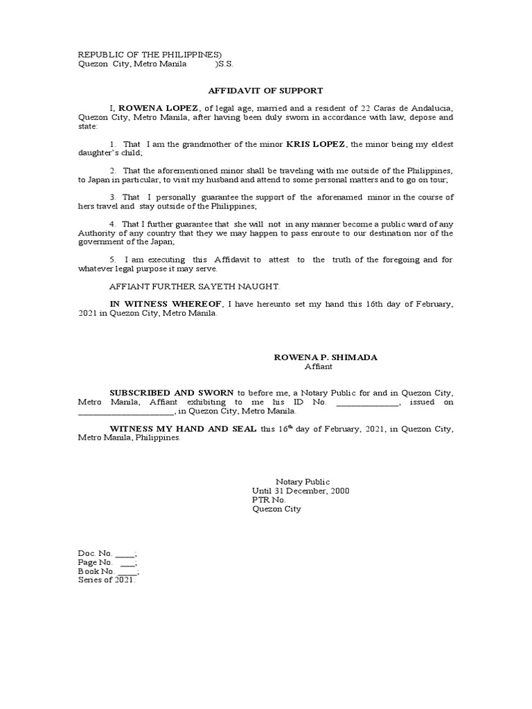 Affidavit of Support | PDF