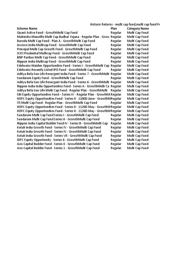 Multi Cap Fund Performance Overview | PDF | Investing | Financial Services