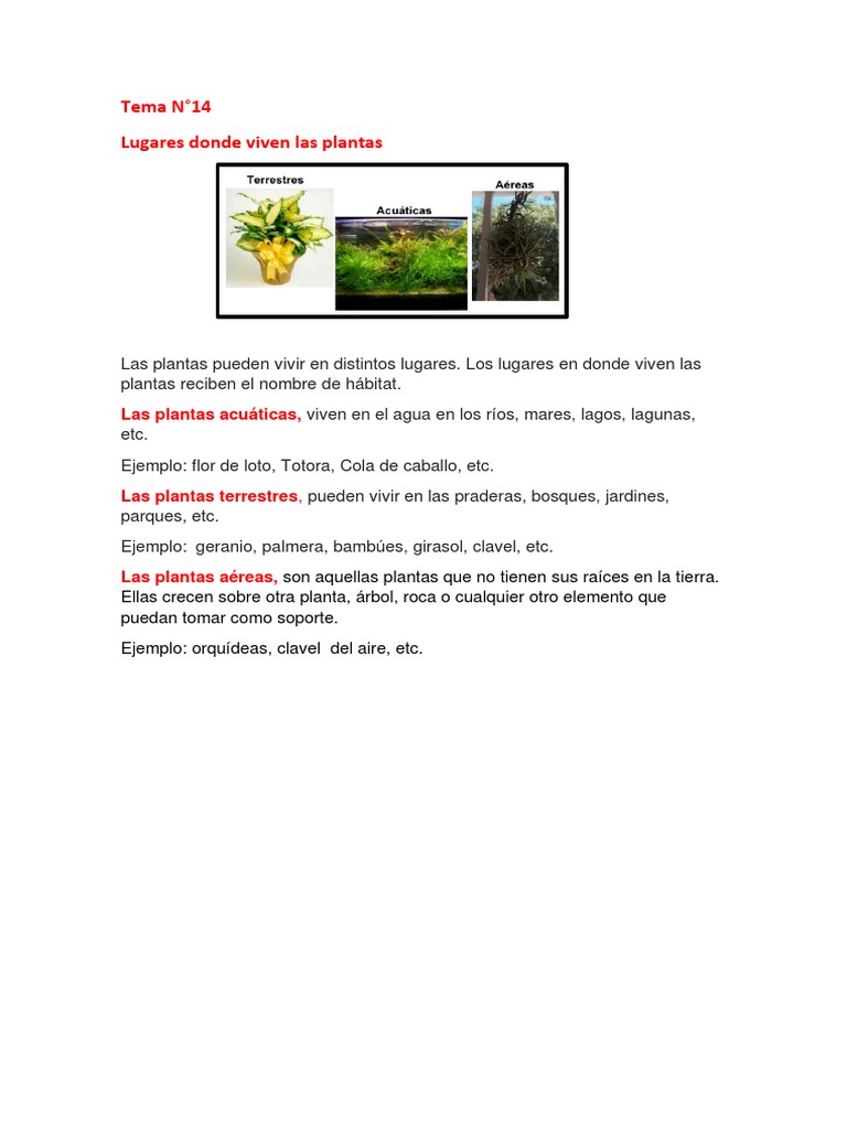 Tema 14 Lugares Donde Viven Las Plantas | PDF
