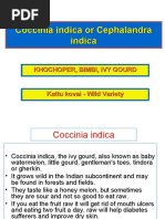 Adusa (Vasaka) Medicinal Uses in Ayurveda | PDF | Coriander | Ayurveda