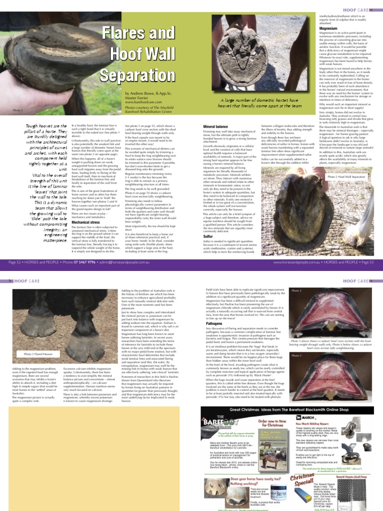 Flares and Hoof Wall Separation: Magnesium | PDF | Horses | Magnesium
