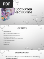 Functional Matrix Theory | PDF | Skull | Bone