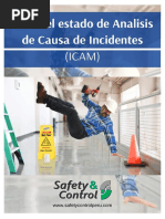 Caso Practico (Peepo) - Icam | PDF | Camión | Eje