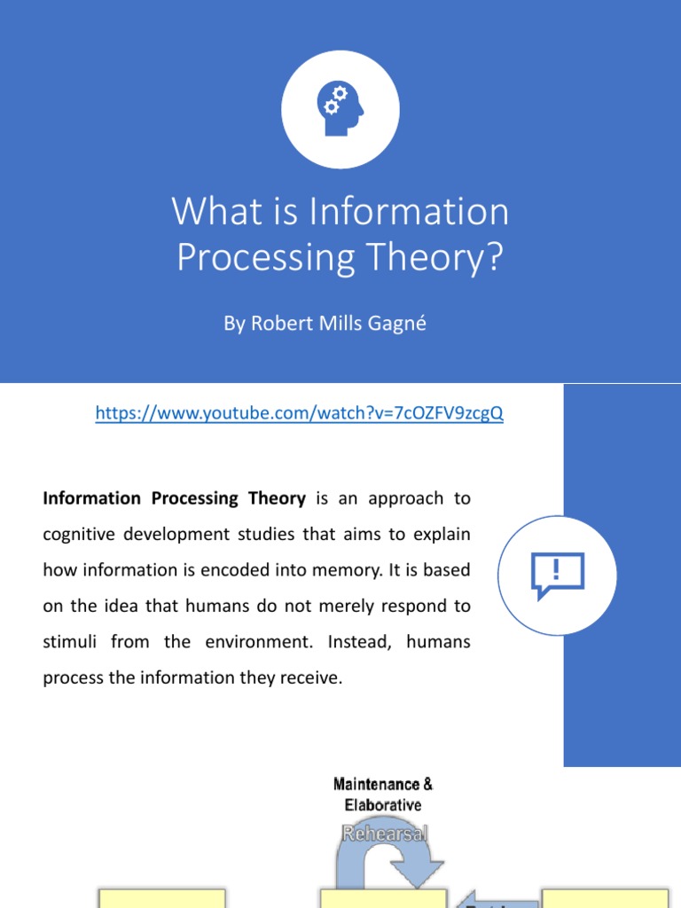 What Is Information Processing Theory | PDF | Memory | Senses