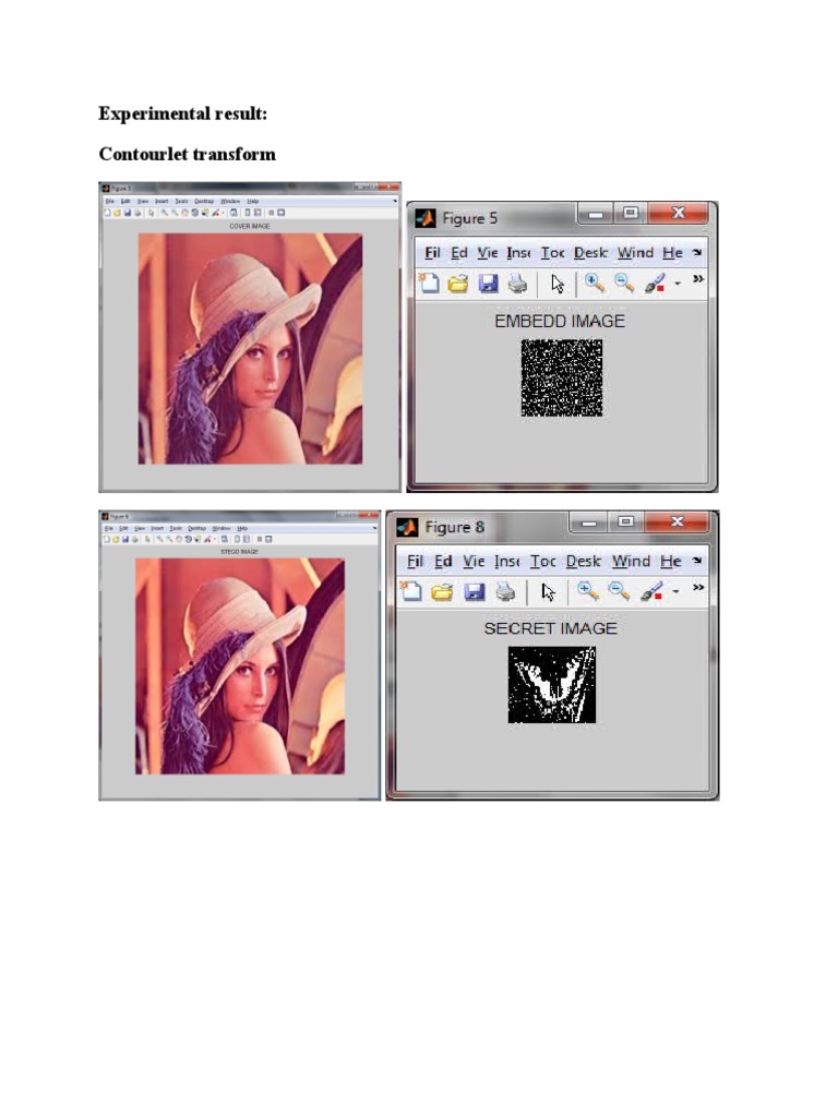 Experimental Result: Contourlet Transform | PDF